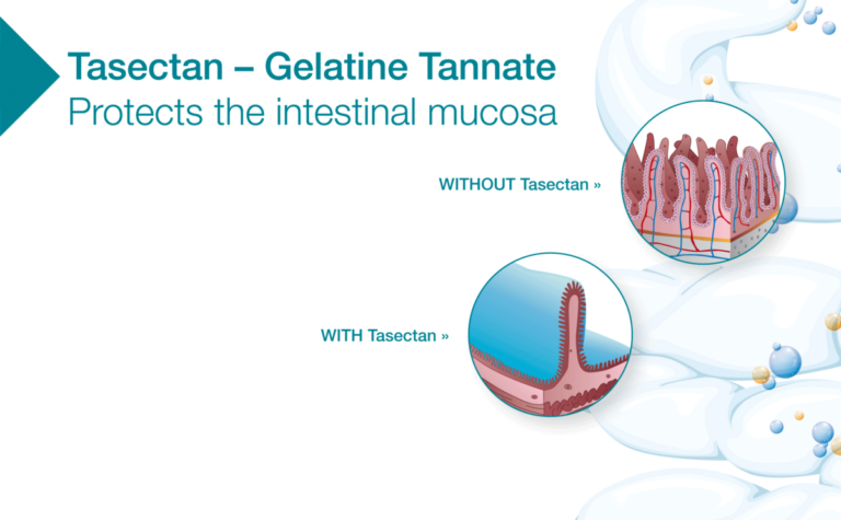 Tasectan capsules | Montavit