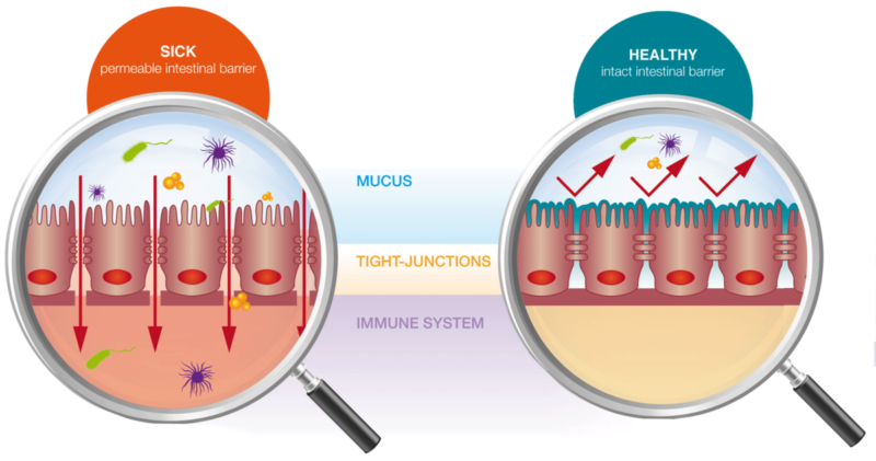 Tasectan powder | Montavit